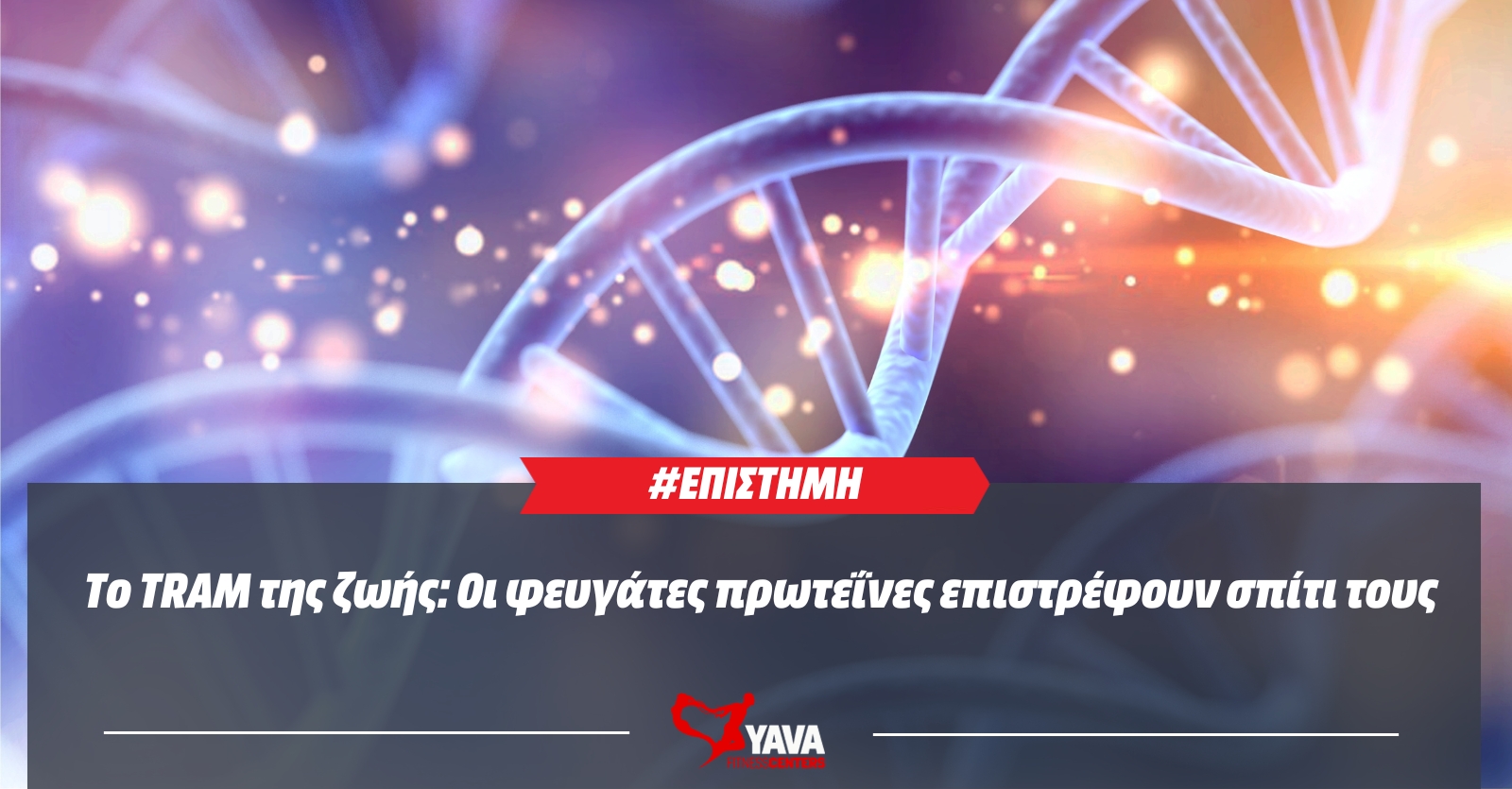 Πώς μπορούν οι πρωτεΐνες που έχασαν τον δρόμο τους να επιστρέψουν στη ...